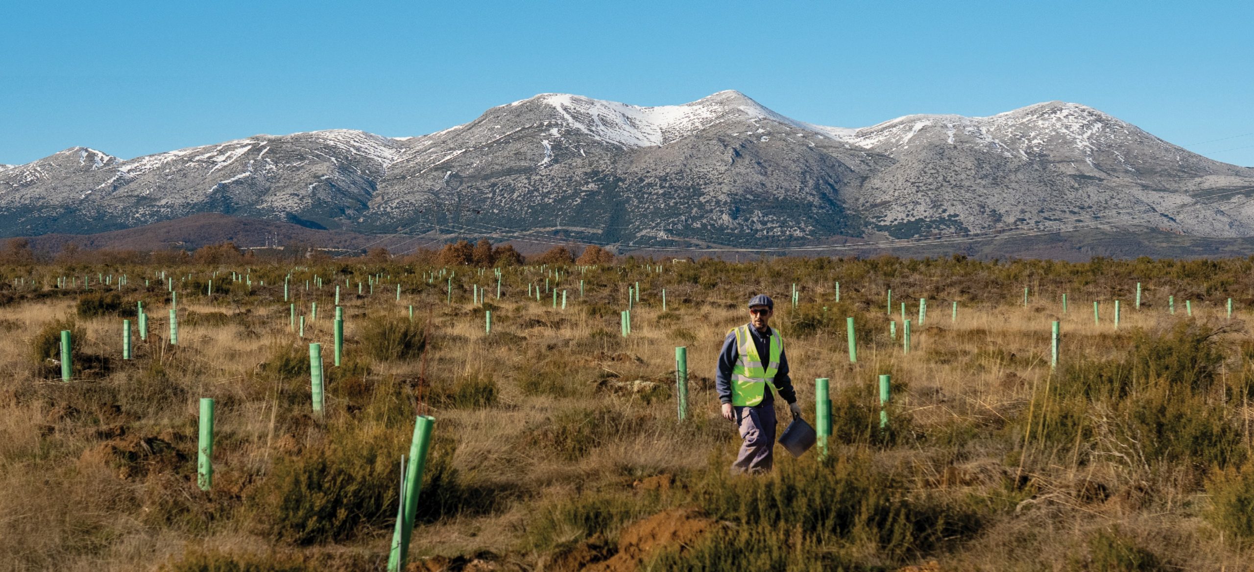 Growing the Numbers - The American Surveyor