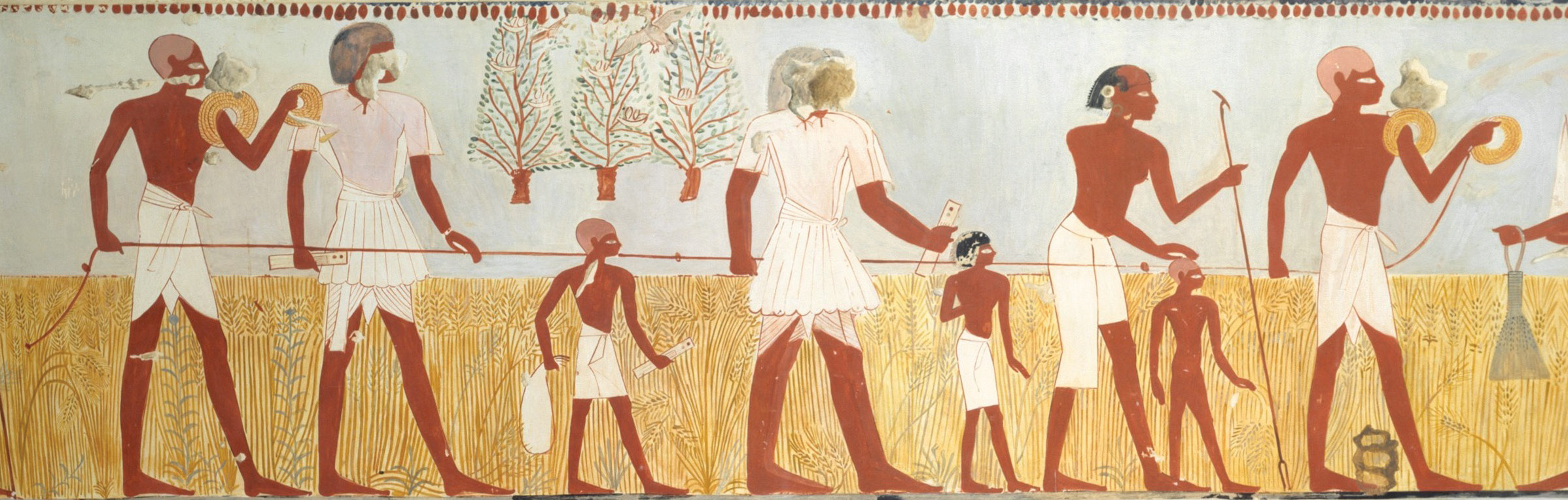 What's a Rope-Stretcher? - The American Surveyor