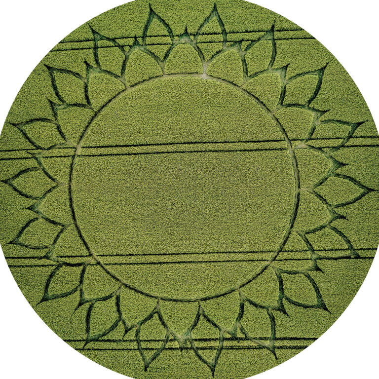 Land Surveying & Crop Circles - The American Surveyor